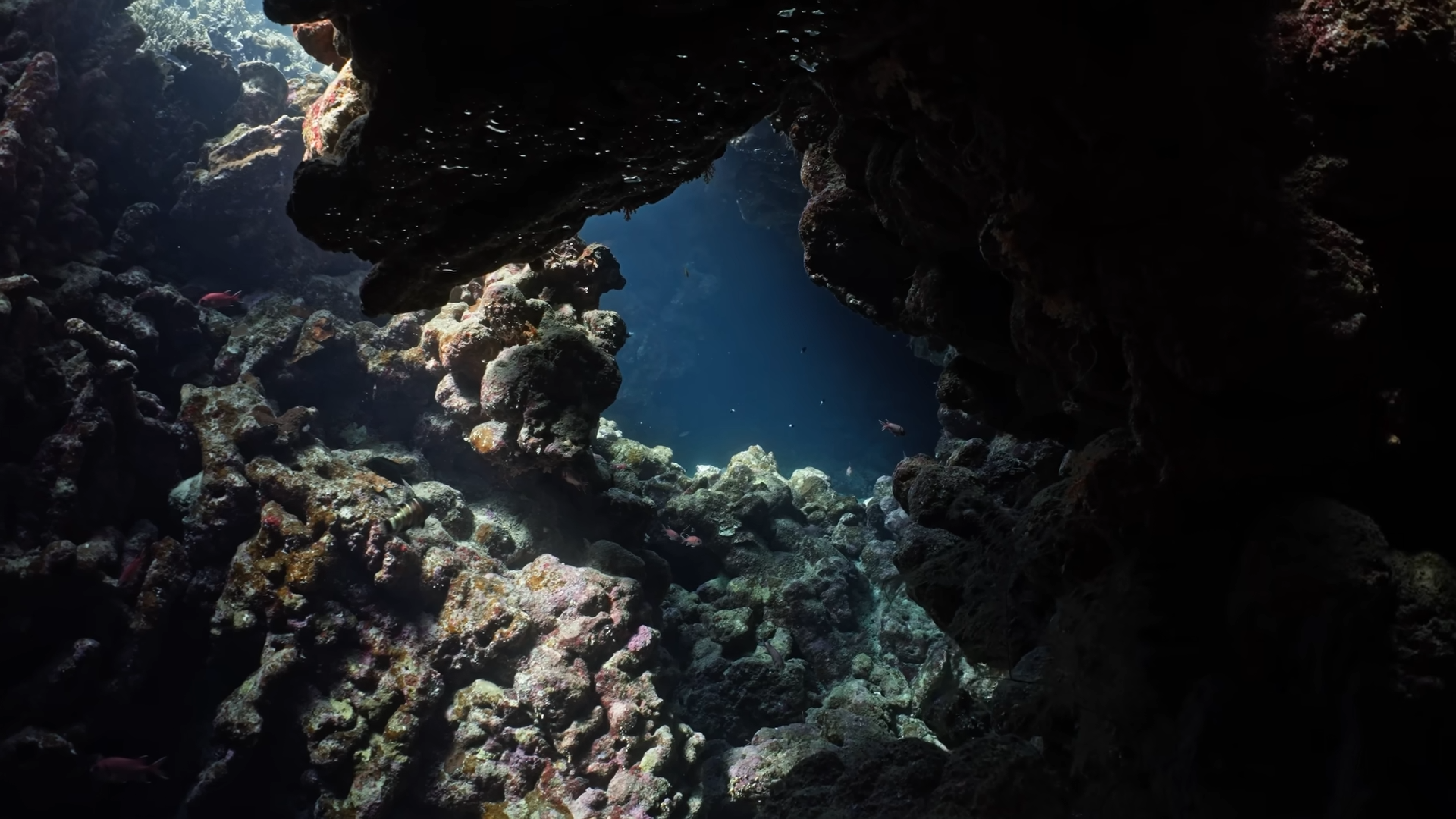 A toxic lake deep beneath the Red Sea is raising chilling questions