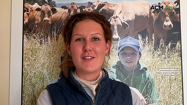 Roma cattle sale market report - April 21, 2026