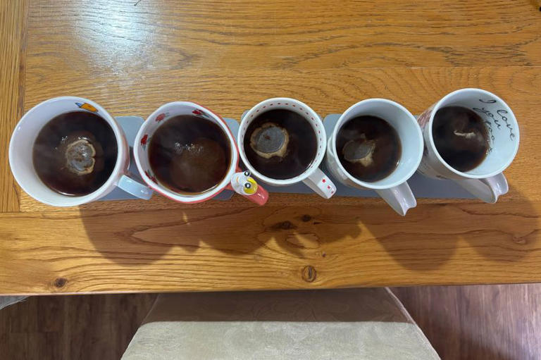I tested Yorkshire Tea, PG Tips and supermarket teabags - one clear winner