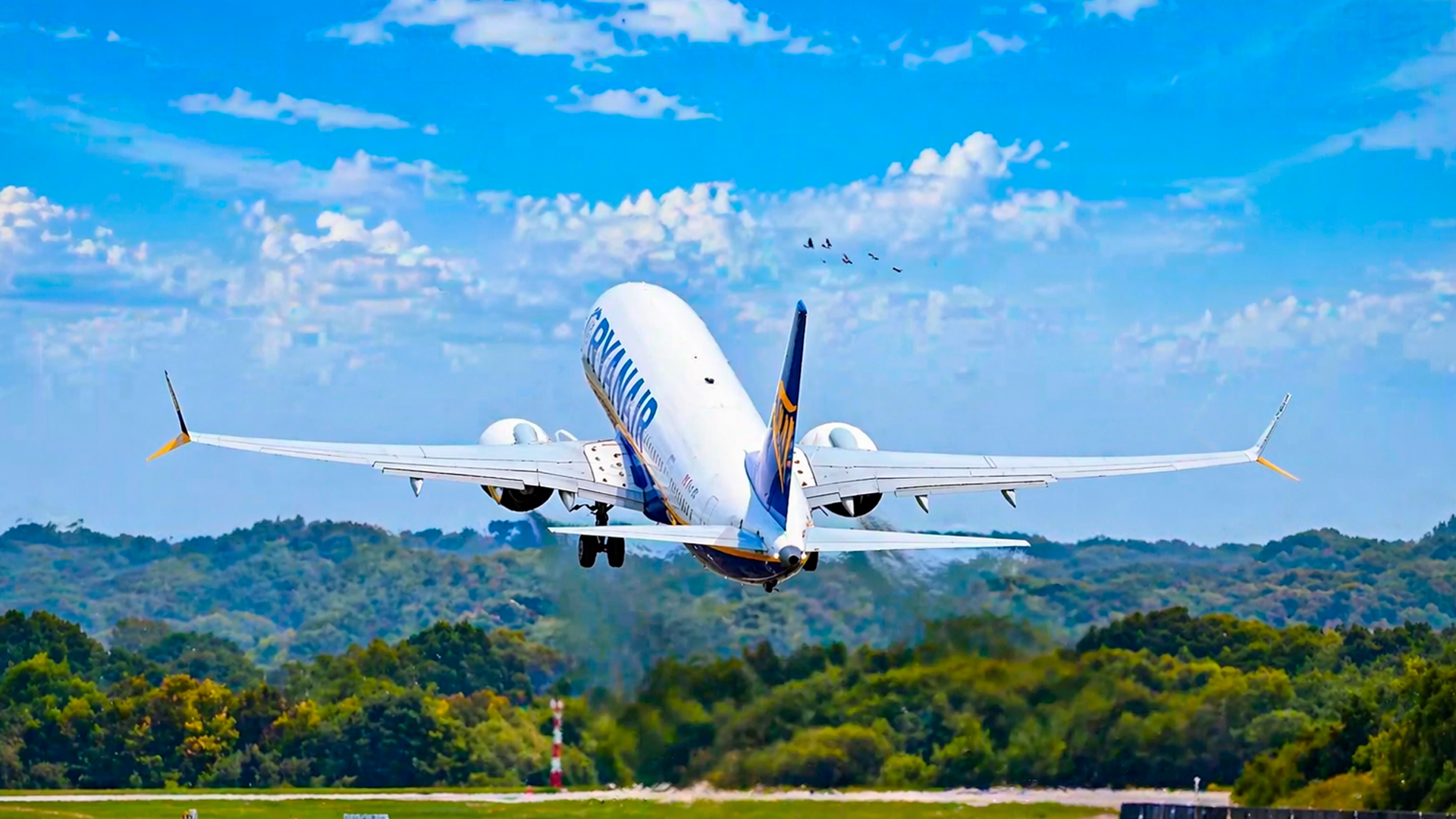 Jet encounters bird strike caught on camera