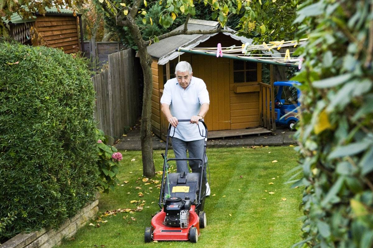 Lawn collapse reveals forgotten mine and classic cars
