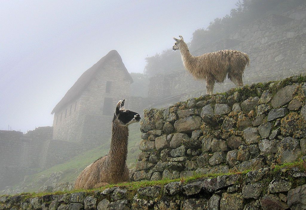 Odd relic reports at Machu Picchu spotlight grim rituals