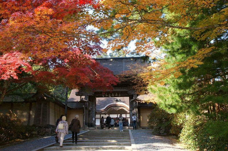 15 best things to do in Japan for travelers who want more than the ...