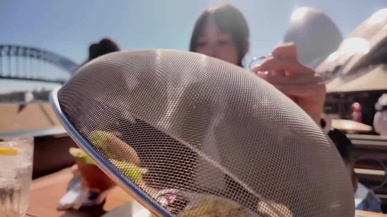 Mischievous seagull attempts to snatch burger from tourist in Australia