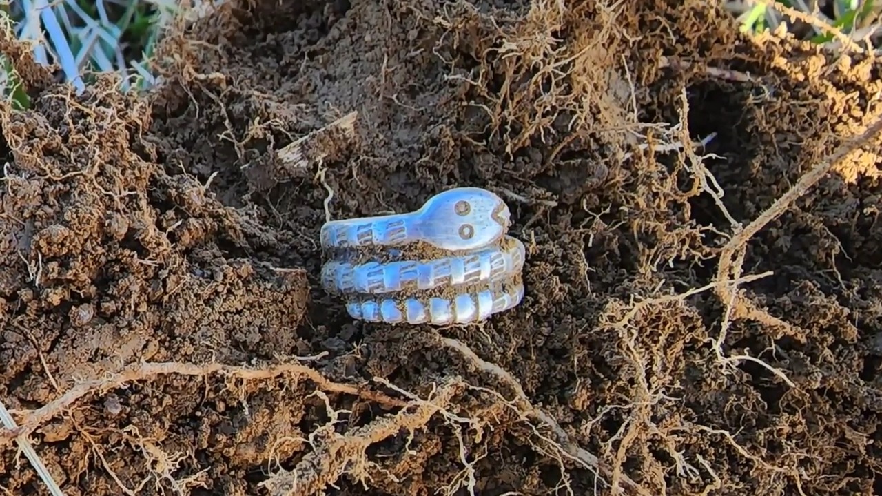 He was searching Civil War ground - then a silver rattlesnake ring came ...
