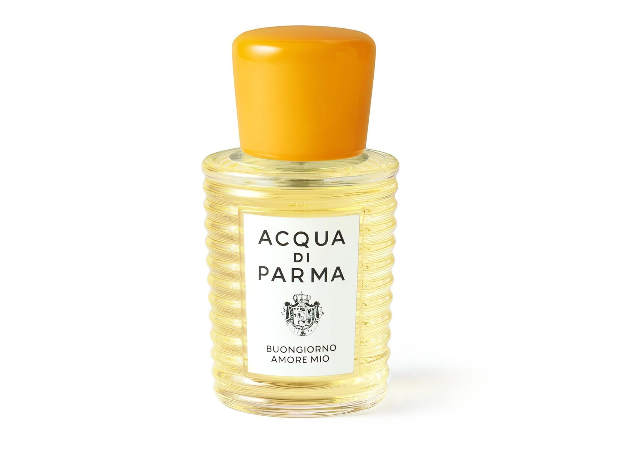 Powdery perfumes smell the most expensive: 5 elegant iris fragrances to ...