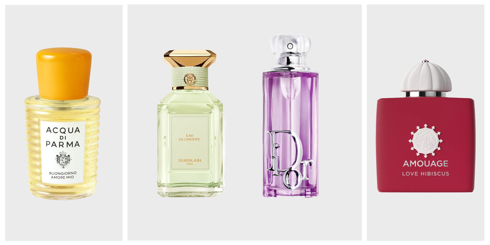 Powdery perfumes smell the most expensive: 5 elegant iris fragrances to ...