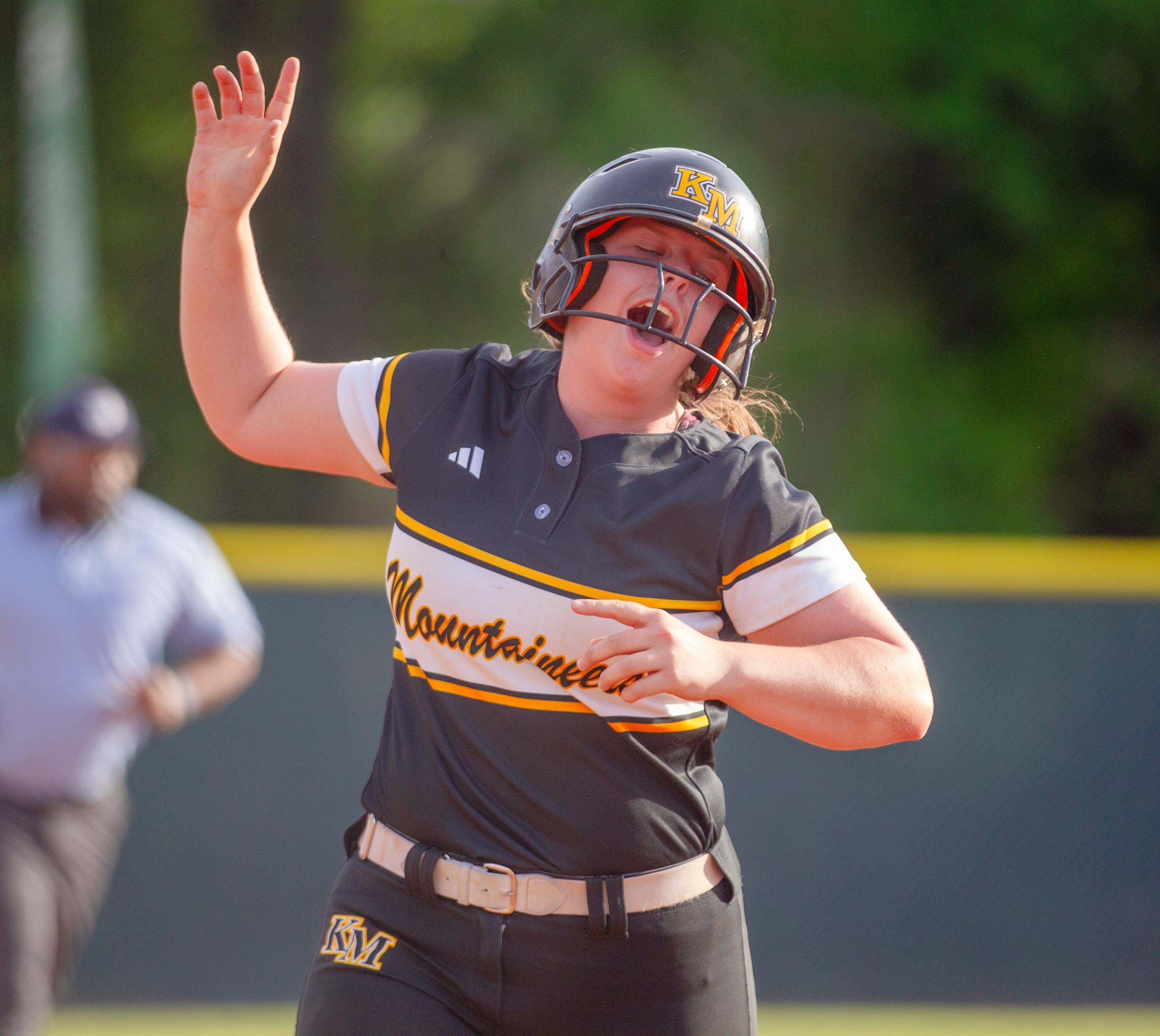 See NCHSAA, NCISAA softball playoff brackets for Gastonia, Shelby teams