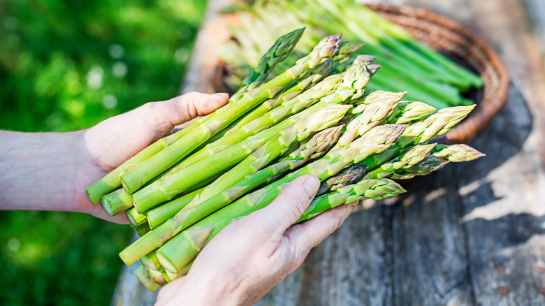 14 mistakes you're making with asparagus