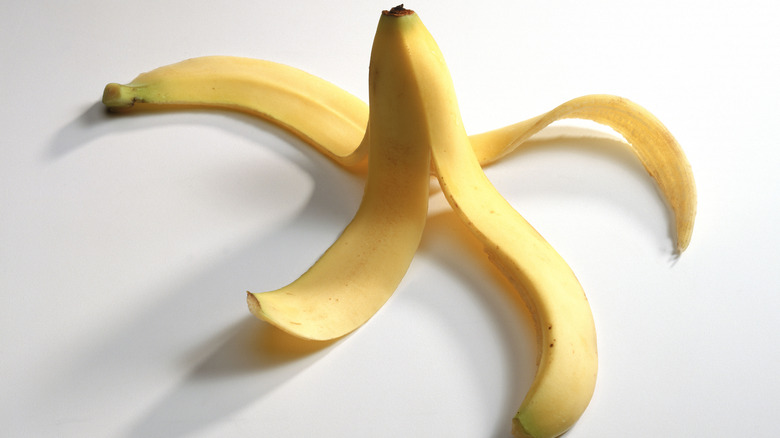 14 false facts about bananas that you probably still believe
