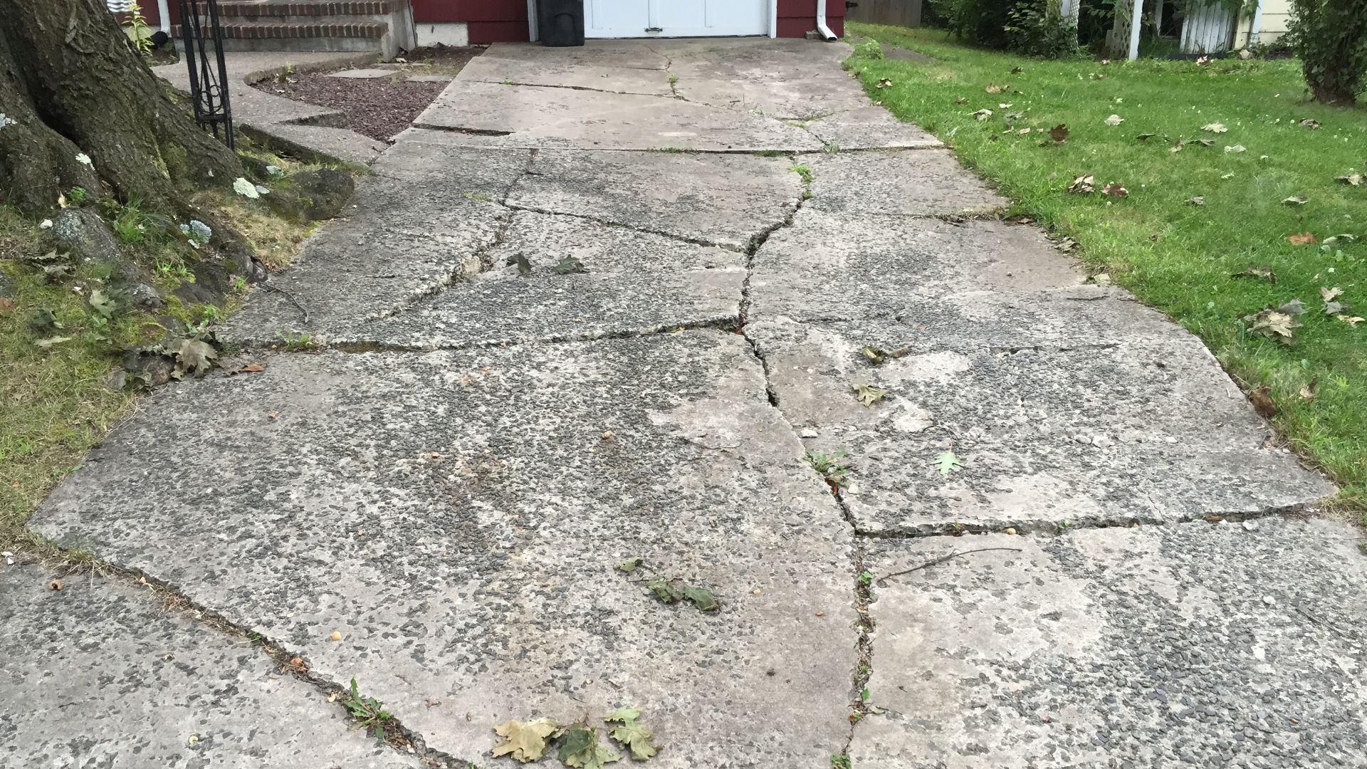 My neighbor’s tree roots are damaging my driveway, but they say it’s ...