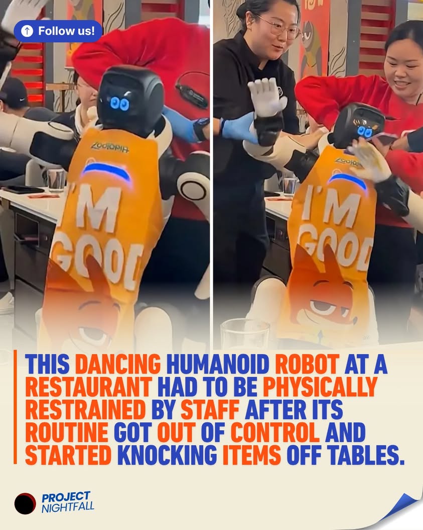 Robot's perfect dance unleashes chaos: staff wrestle machine in ...