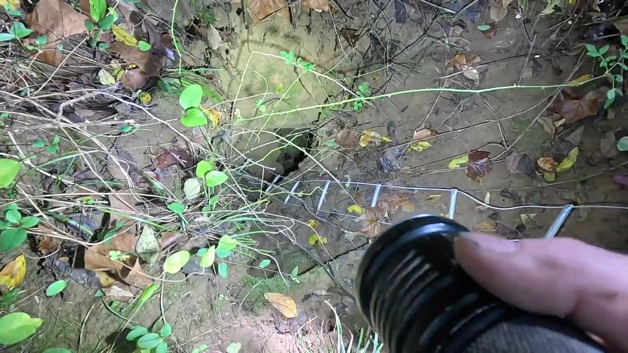 He climbed into a fresh sinkhole - then he found bones and named the cave