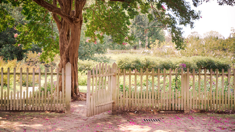 15 affordable fencing ideas to enclose your yard