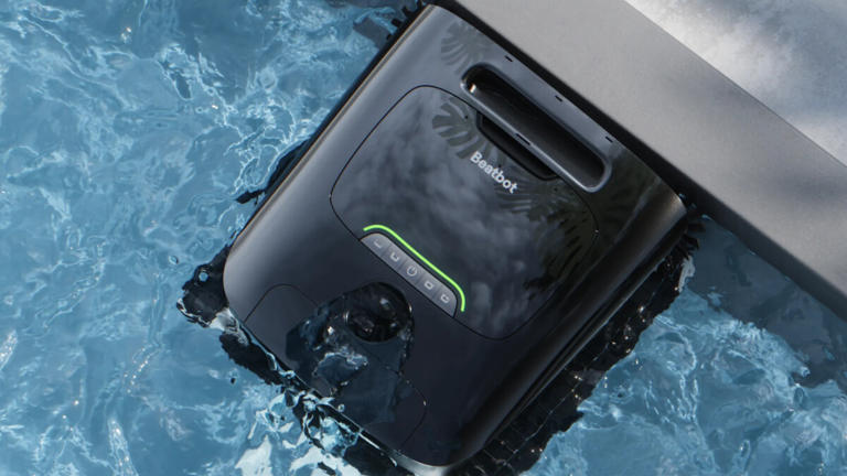 Knapp 4.000 Euro für einen Poolroboter: Ist das genial oder komplett ...