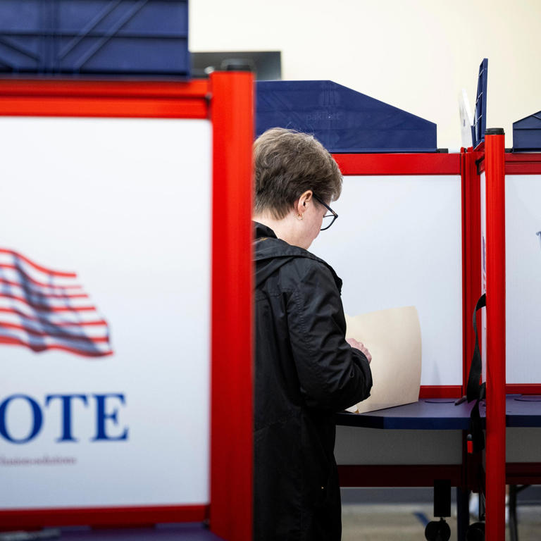 Virginia Democrats seek 10-1 congressional map with voter referendum