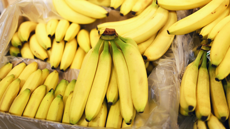 14 false facts about bananas that you probably still believe