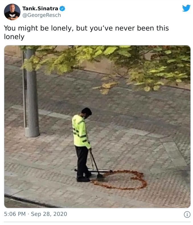Single life in memes: 40+ relatable laughs
