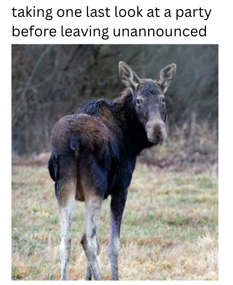 A moose-terpiece of 20 moose memes to make you feel like king of the forest