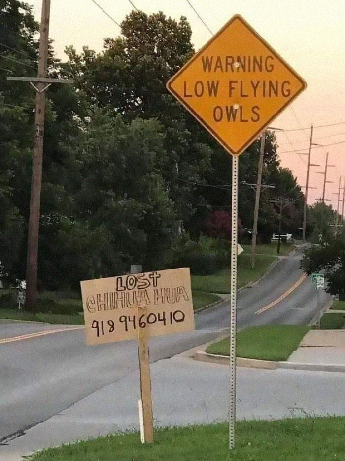45 silly, funny, dumb and stupid signs that people have shared online
