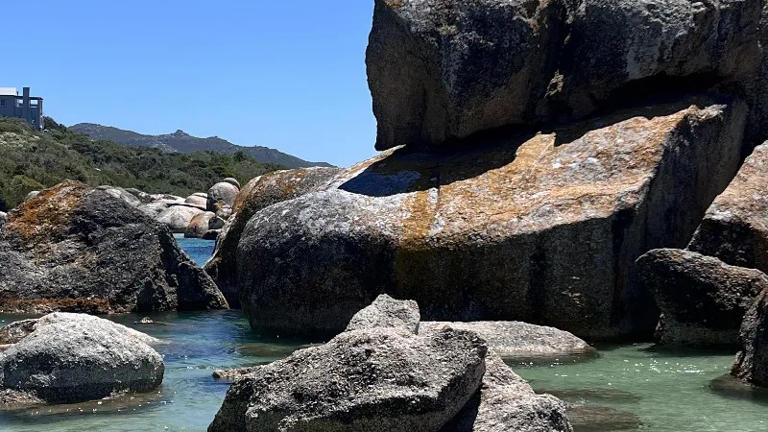 Cape Town beaches crowned world’s best as Boulders Beach takes global ...
