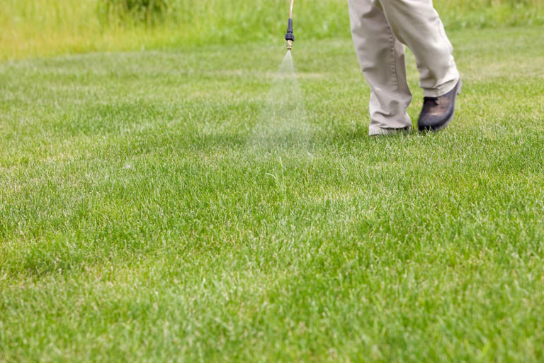 How much weed control does your lawn really need? Signs it’s not working