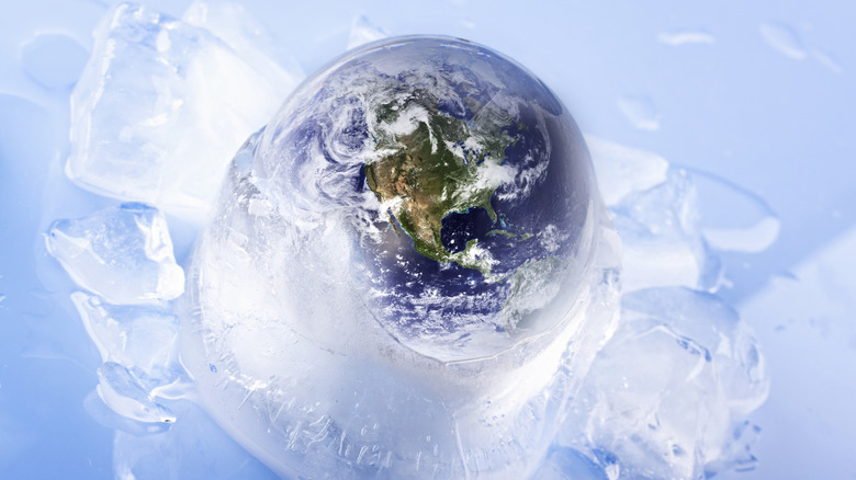 The frozen Ice Age creature scientists brought back to life