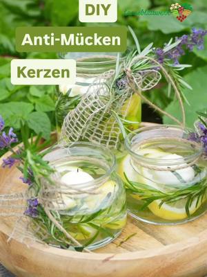 DIY Antimückenkerzen für den Sommergarten