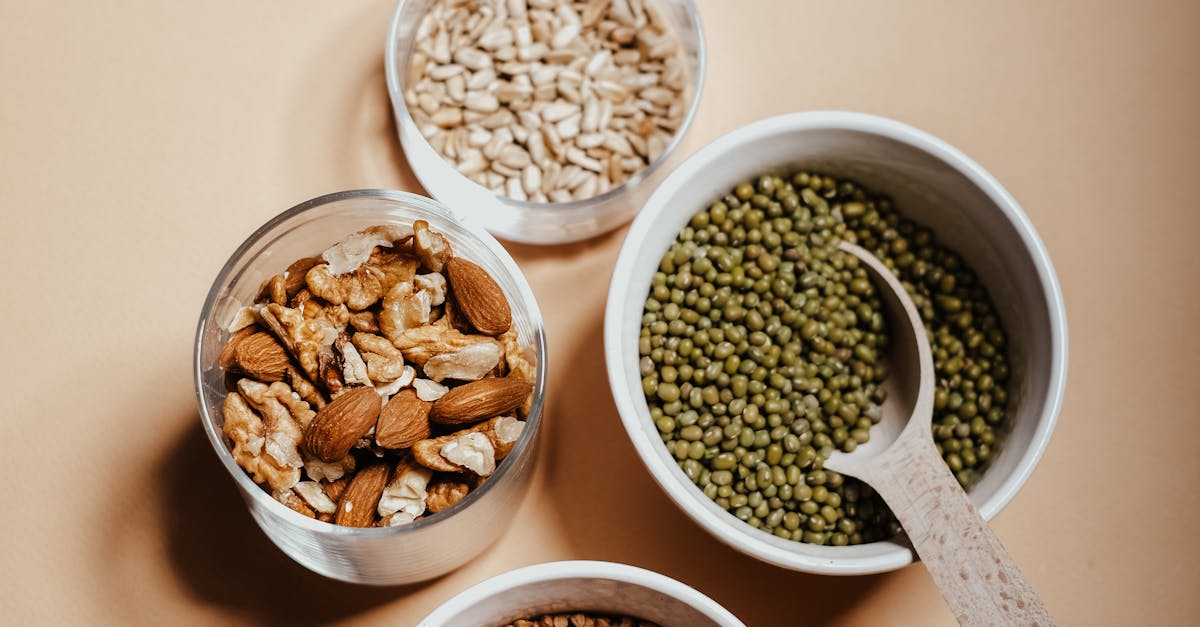 10 best protein sources to support muscle recovery after exercise