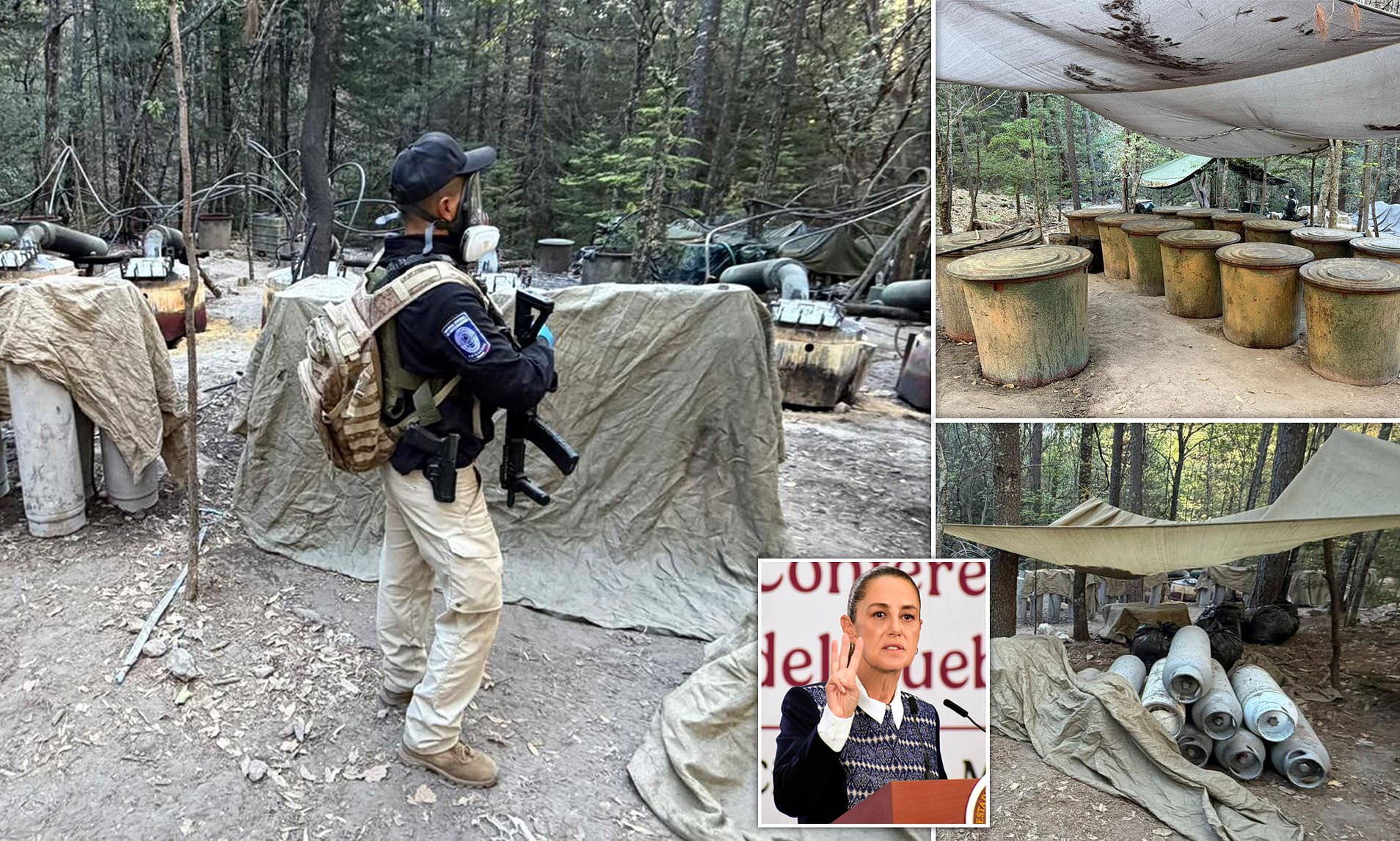 Two Americans killed in Mexico when car skidded off ravine and exploded ...