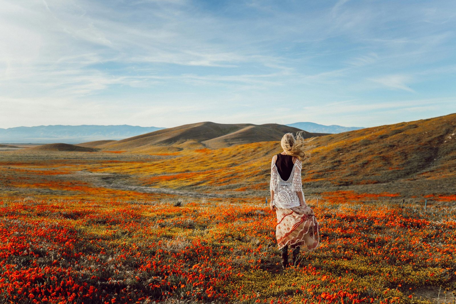 This desert in America suddenly turned into a blooming garden overnight