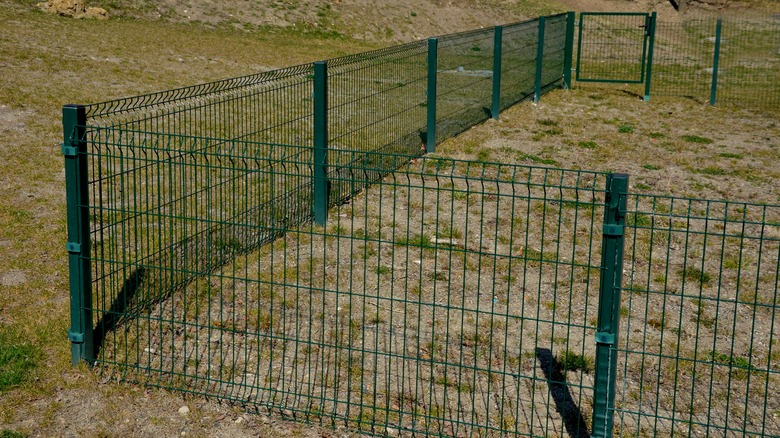15 affordable fencing ideas to enclose your yard
