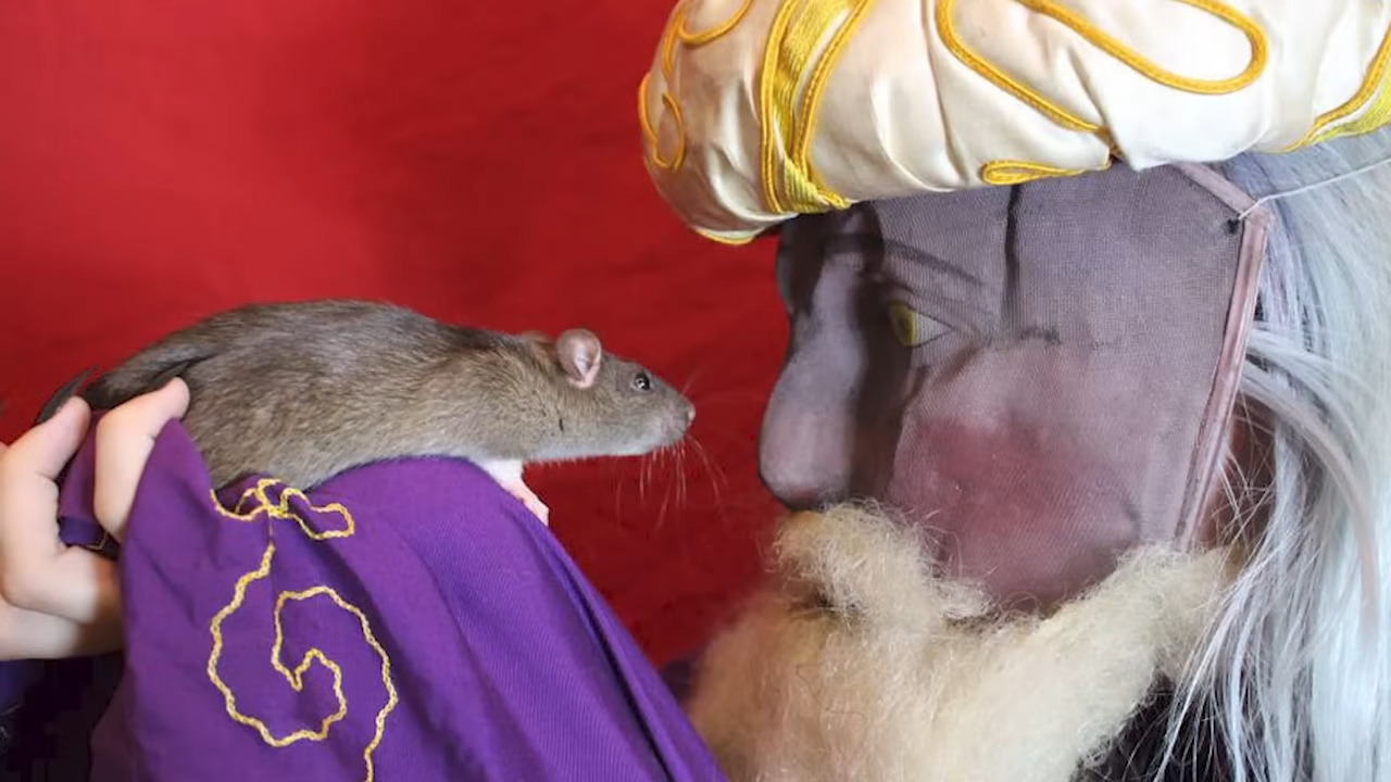 The hidden puppet master behind New York’s strangest viral animal stories