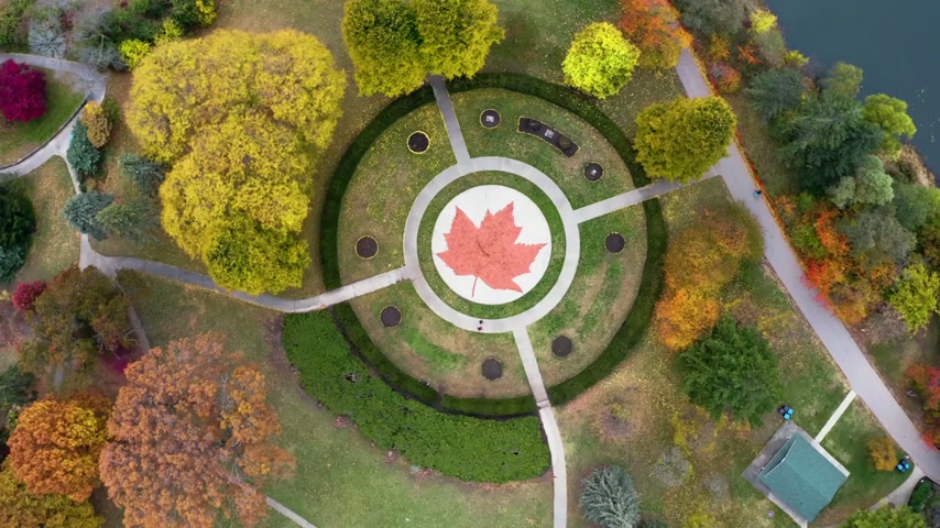 Toronto uncovered: A bird’s eye journey across the city
