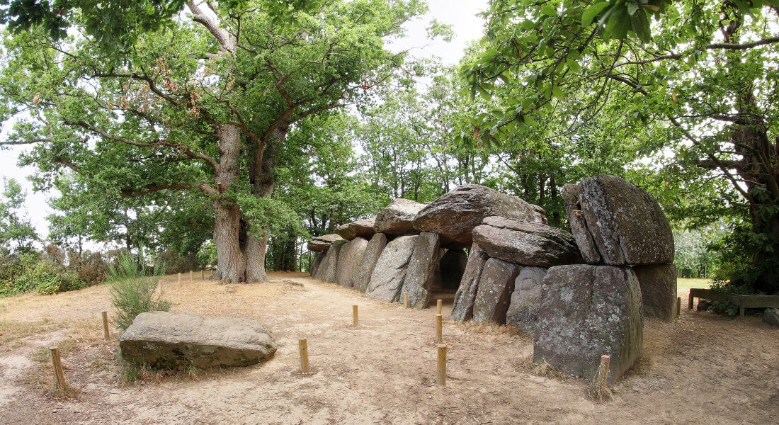DNA evidence points to a massive Stone Age population collapse