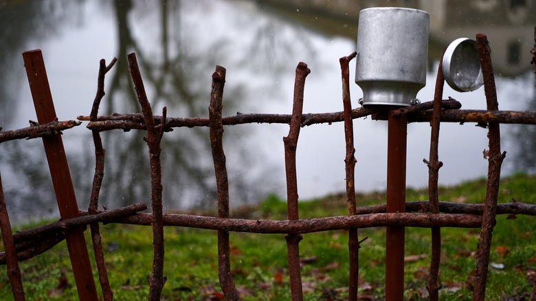 15 affordable fencing ideas to enclose your yard