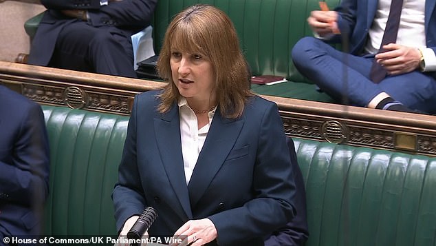 Struggling taxpayers hand over another £3,000 for a portrait of Rachel ...