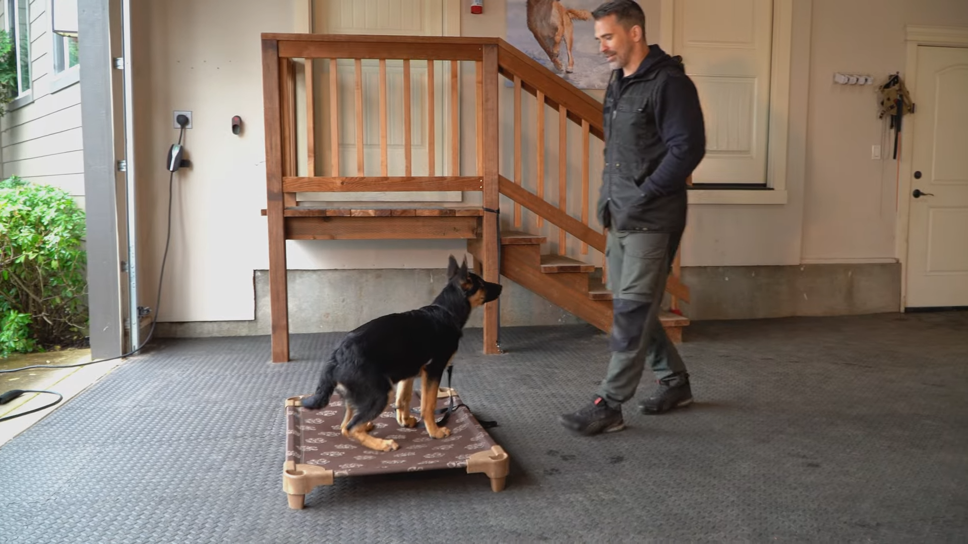 How to teach a dog to stay without turning it into a struggle