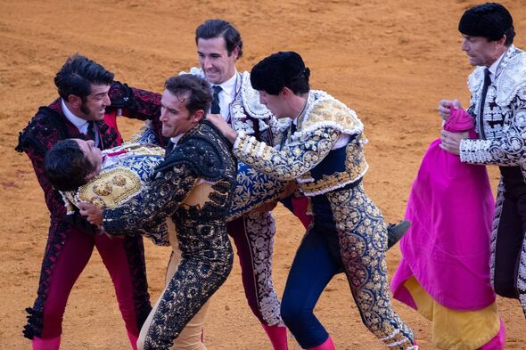 Terrifying moment famed bullfighter gored in backside during comeback