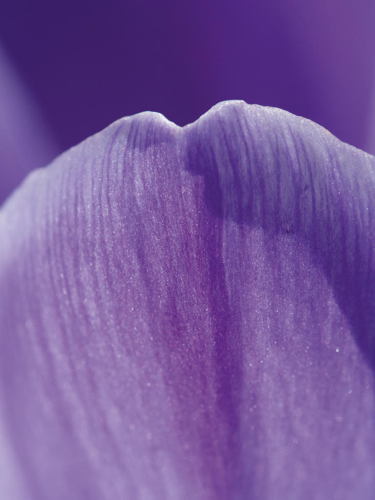 Every photographer should try abstract photography – it teaches you ...
