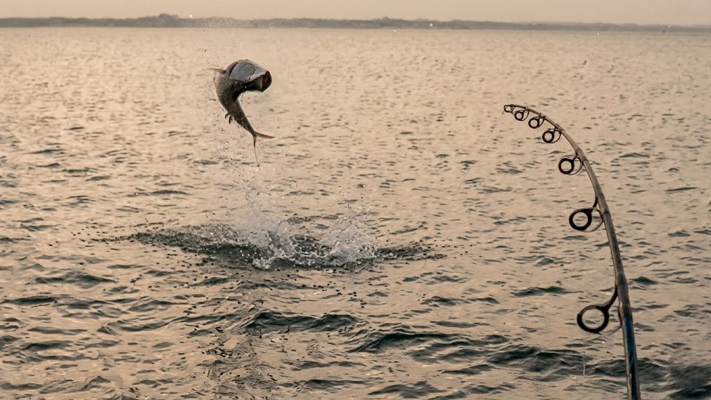 He thought he could handle the fish when it almost pulled him in ...