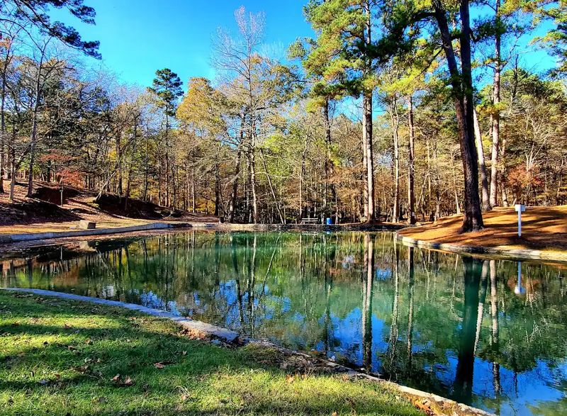 Texas outdoor experiences that feel completely different from the usual ...