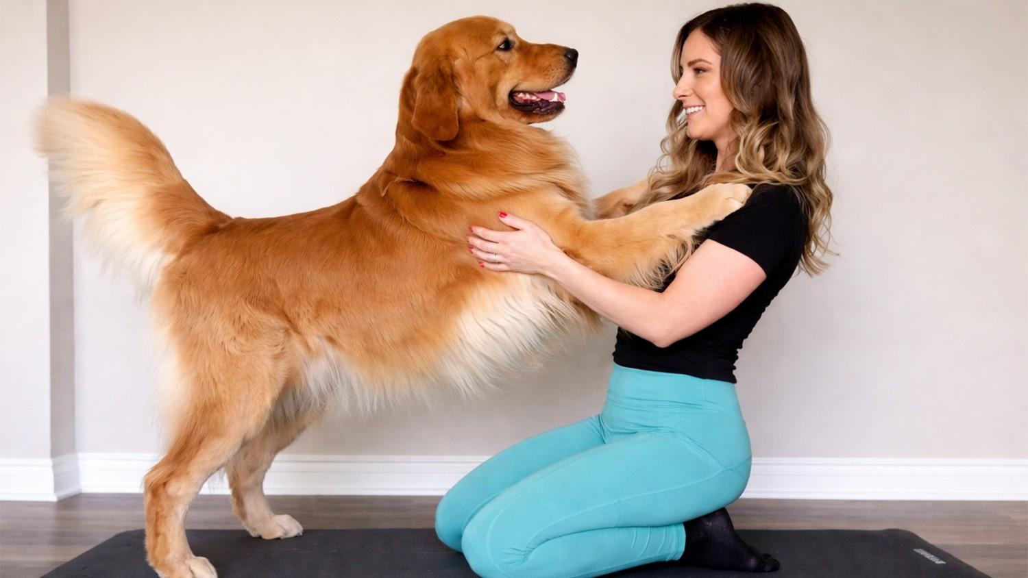 My dog thinks workout means hug time