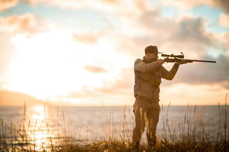 Remington 700 vs Tikka T3x: What long-range hunters notice after real ...