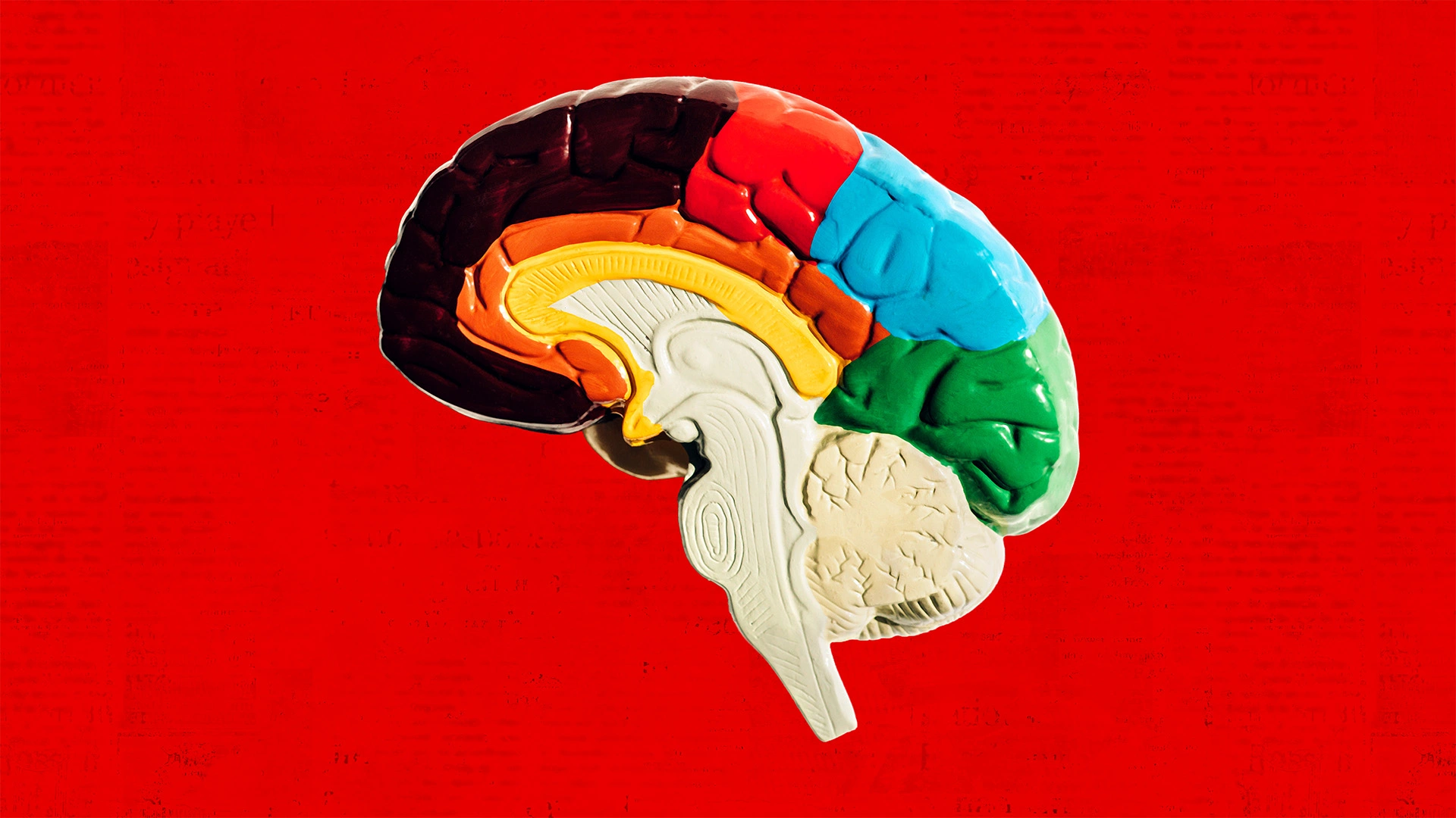 Want to cut your Alzheimer’s risk by 38 percent? An 8-year study of ...