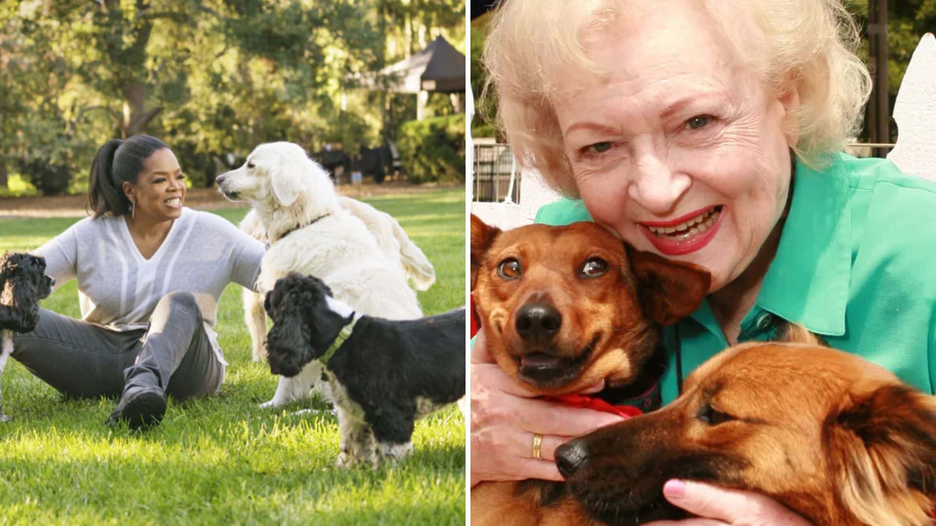 The secret fortunes of the world’s richest pets