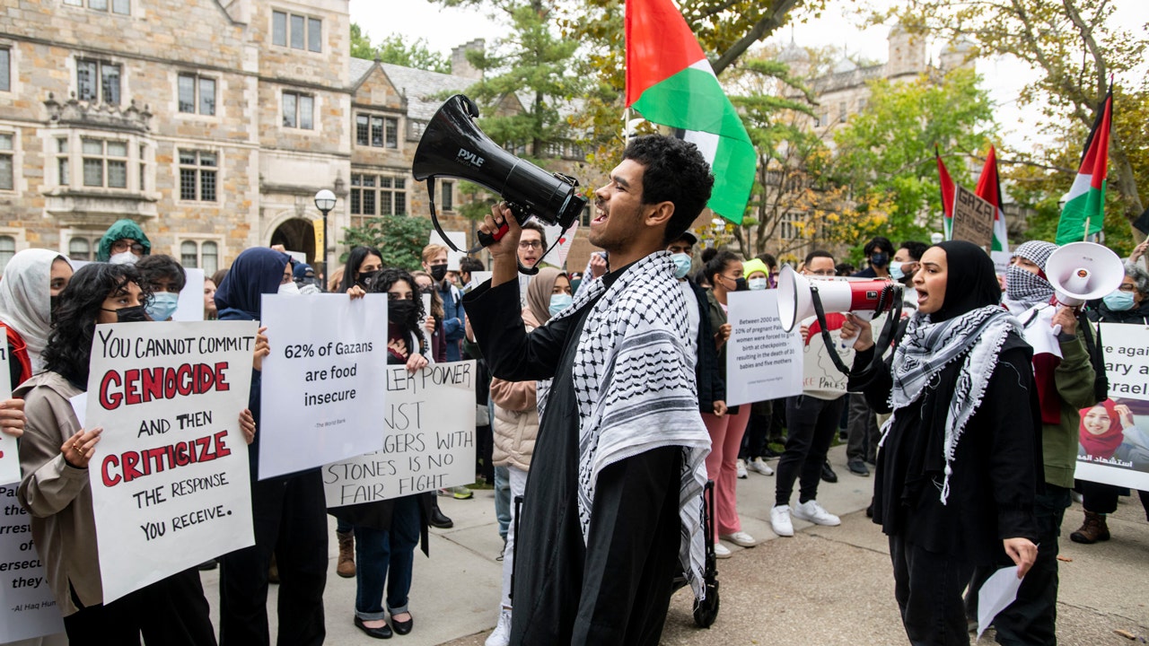 'Martyrs': Michigan Dems nominate Hezbollah-praising candidate after ...