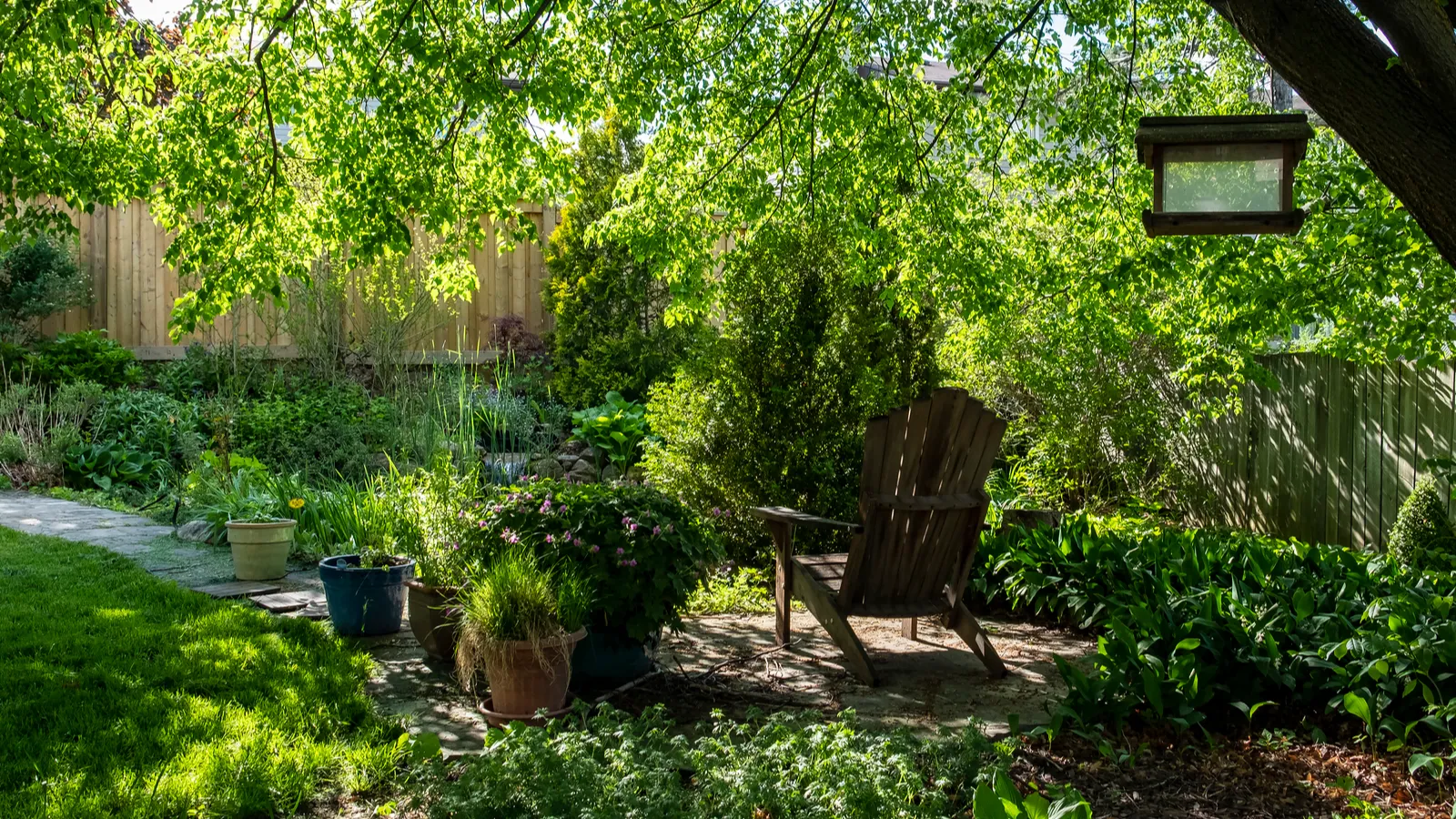 Some vegetables thrive in the shadiest corners of your garden