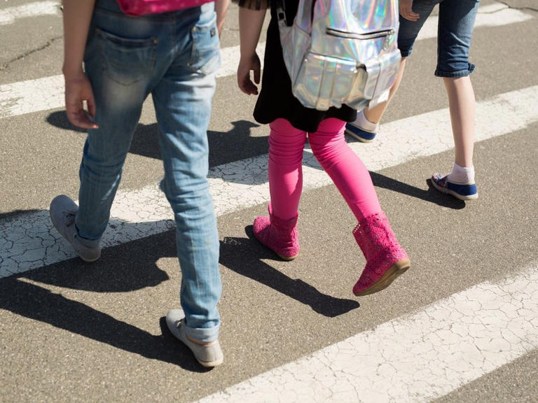 Traffic pattern changes made near Western Avenue School, Flossmoor Park ...
