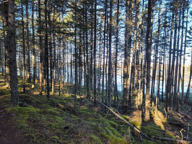 This tiny Maine island is only accessible by a granite causeway and ...